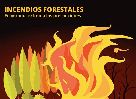 Incendios Forestales Y Cambio Climático Fundación Aquae