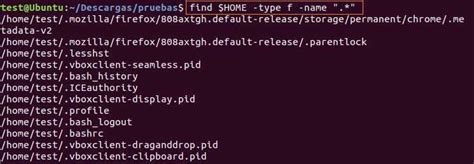 Cómo buscar con el comando Find en Linux El Taller del Bit