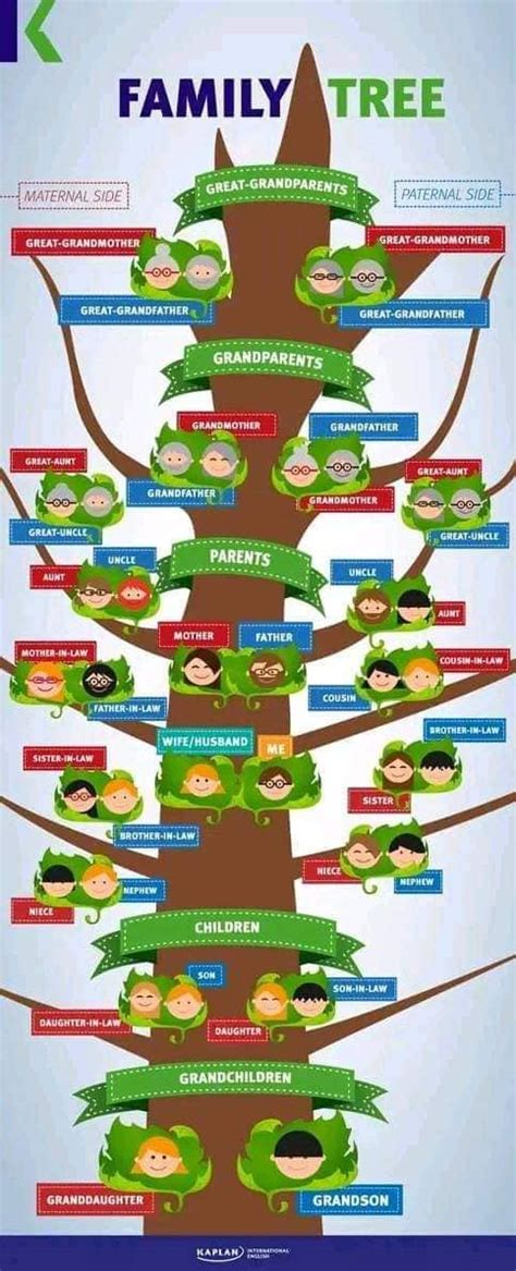 Ok Office Dz شجرة 🌲العائلة باللغة الانجليزية للسنة Facebook