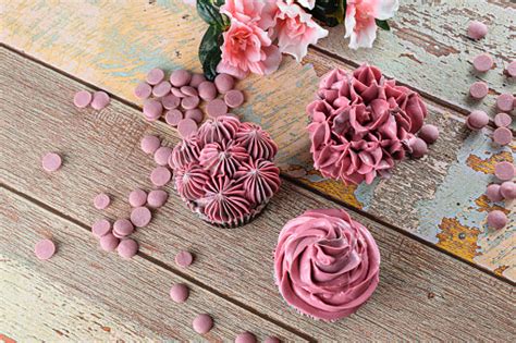 핑크 버터 크림을 곁들인 초콜릿 컵케이크 3개 루비 초콜릿 캘릿 옆에 있습니다 0명에 대한 스톡 사진 및 기타 이미지 0명 꽃 식물 달콤한 음식 Istock