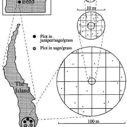 Approach To The Study Of Soil Spatial Pattern Using Spatial Download Scientific Diagram