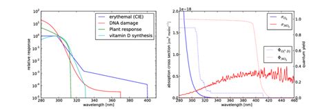 Left Biological Weighting Functions Used In The Product Right