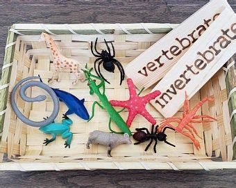 Light Heavy Sorting Set Montessori Object Classification Etsy Artofit