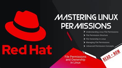 Day 15 Mastering Linux Permissions File Permissions And Ownership In