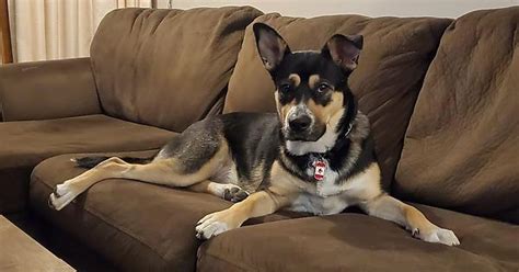 Rookie Album On Imgur