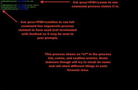 Basic Linux Malware Process Forensics For Incident Responders