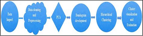Workflow For Hierarchical Clustering 21 Download Scientific Diagram