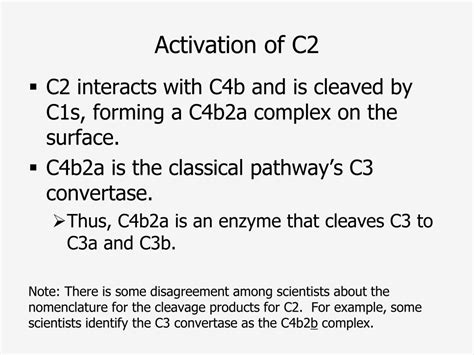 PPT The Complement System PowerPoint Presentation Free Download ID 2348392