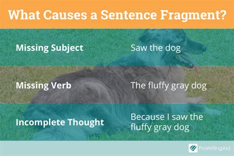 Sentence Fragment Meaning And Examples Dynamiclity