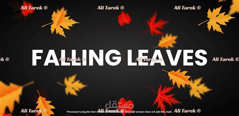 Leaves Animation مستقل