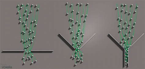 Figure 2 From Real Time Collision Avoidance For Pedestrian And Bicyclist Simulation A Smooth