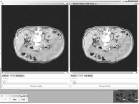 Multi Resolution Views Download Scientific Diagram
