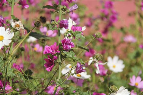 БҮТЭЭЛЧ ХӨВСГӨЛЧҮҮД