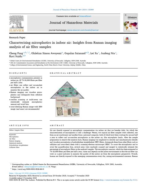 Characterising Microplastics In Indoor Air Insights From Raman Imaging Analysis Of Air Filter