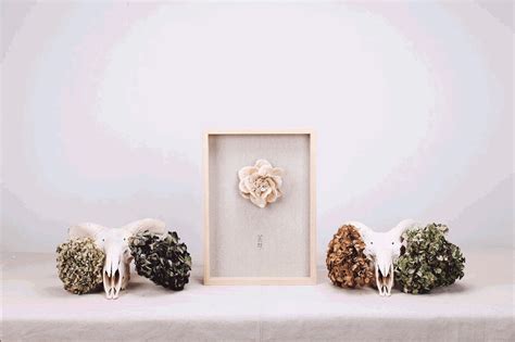 新年伴手礼｜去野花树研究所｜干花制作者招募