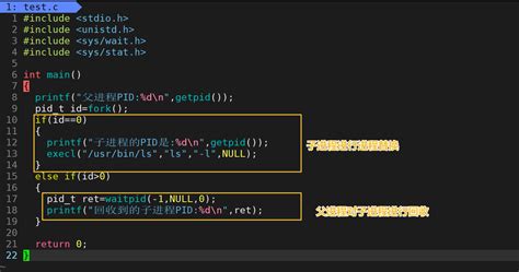 【进程内幕】进程替换：从fork到exec揭秘进程替换的全流程fork Exec实现进程替换 Csdn博客