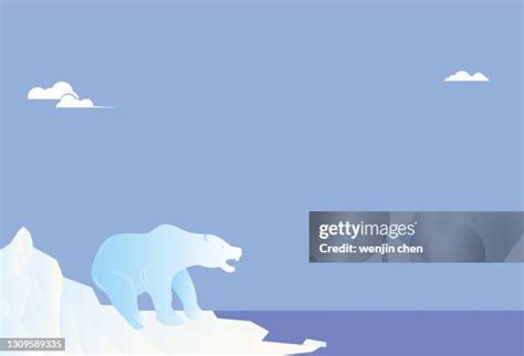 Iceberg Polar Bear Photos And Premium High Res Pictures Getty Images
