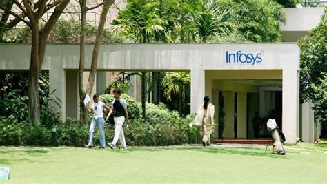 Lic Raises Stake In Infosys In Q4 Fiis Institutional Investors Trim Exposure Stock Market News