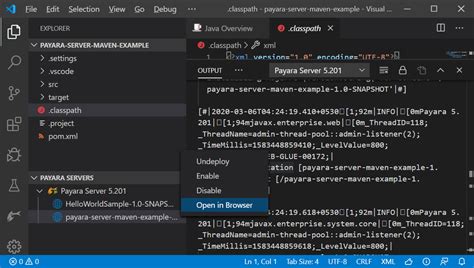 Payara Server Tools In VSCode Payara Community Documentation