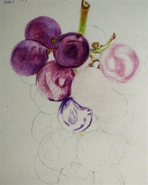 葡萄彩铅画步骤图片 水果拼盘的画简笔画 伤感说说吧