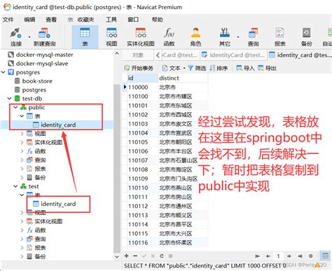 PostgreSQL数据库Docker版本的postgres安装 Navicat连接方式 导入向导使用 SpringBoot结合