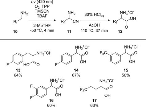Top Semi‐continuous Synthesis Of Fluorinated α‐amino Acids By Download Scientific Diagram