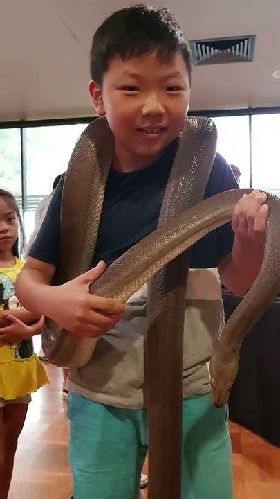 브리즈번 일상 Youtube