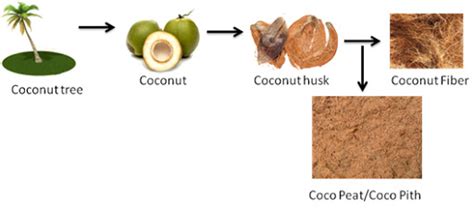 Coco Peat Brick How To Use Coco Peat Bricks For Planting Coco Hitech