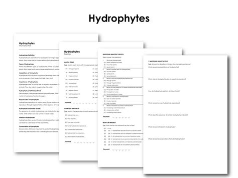 Hydrophytes Made By Teachers