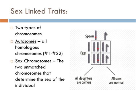 PPT Non Mendelian Genetics PowerPoint Presentation Free Download ID