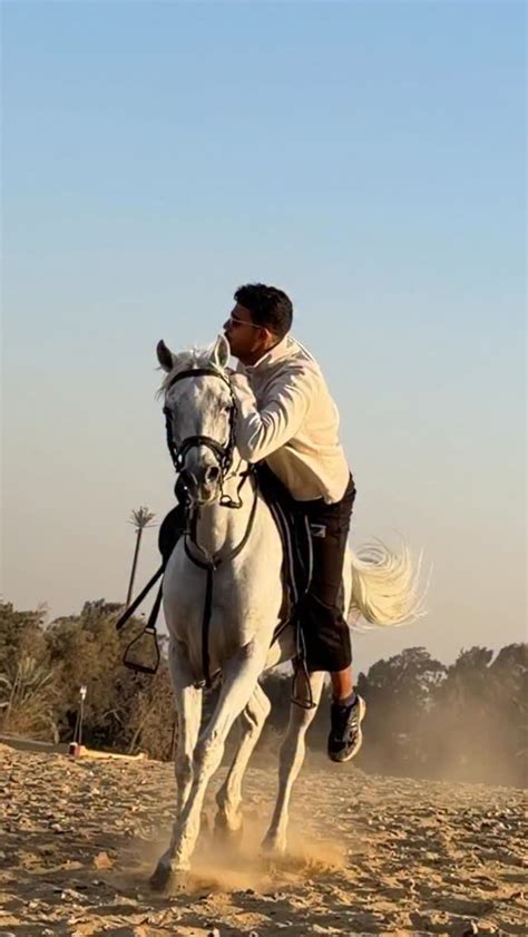 استنو الفيديو الجي عن الغلطات اللي الناس بتعملها لما الركابه تفك فتخليهم يقعو من علي الحصان 🐎 🏾