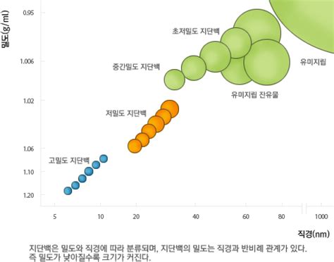 서울대학교병원