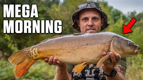 Catch Carp On Short Sessions Mega Quick Session Youtube