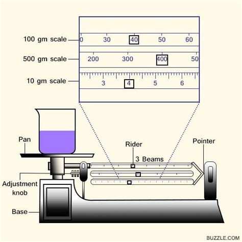 Triple Beam Balance Function Parts And Uses Science Struck Beams 6th Grade Science