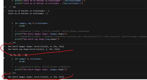Python Error In Input Tensors For Testing Of 4d Modalities In Brats