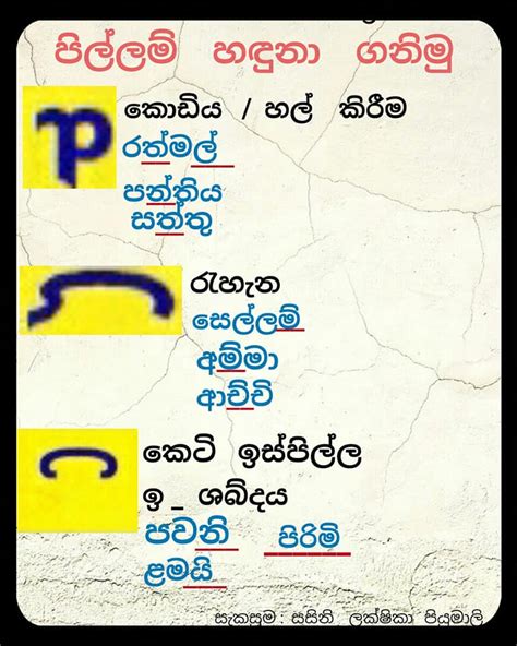 පුංචි ඉස්කෝලේ ශිෂ්‍යත්වයට අත්වැලක් පිල්ලම් හඳුනා