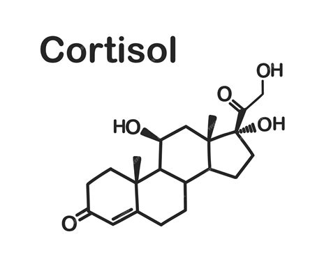 Formule Chimique Structurelle Du Cortisol Vecteur Premium