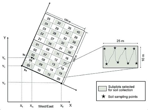 Schematic Representation Of The Georeferencing Procedure Of The Download Scientific Diagram