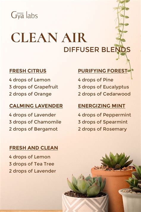 Create A Soothing Atmosphere With Clean Air Diffuser Blends