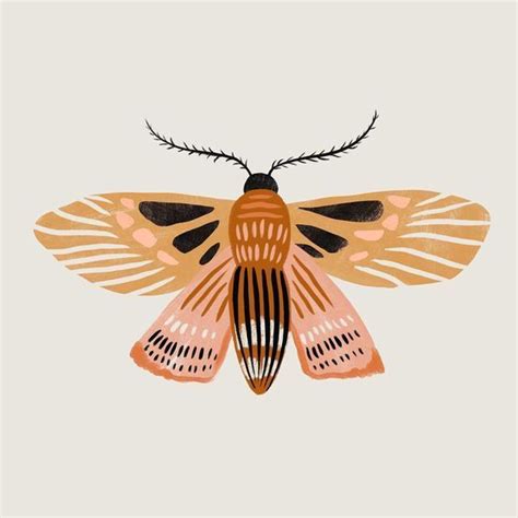 Sally Murphy Design Moth Drawing Prompt