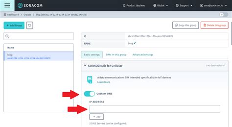 Setting A Custom DNS Soracom Developers