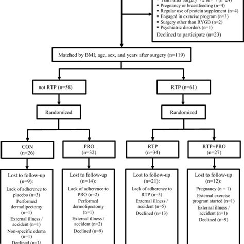 Flowchart Capturing Participant Allocation Process Sample