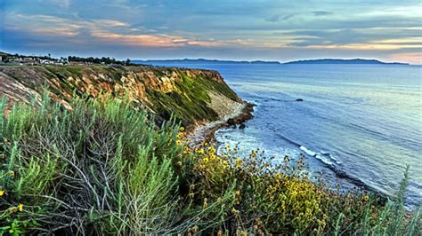 Birding The Coastal Sage Scrub Of The Palos Verdes Peninsula Alta