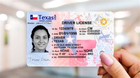 Conducir En Estados Unidos Como Turista