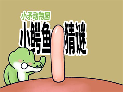 小矛创作者主页北京插画师 站酷zcool