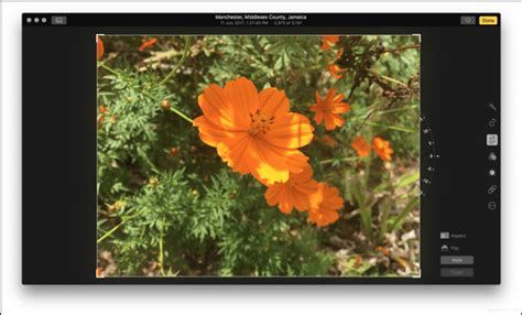 How To Crop An Image In Windows 10 Linux MacOS IOS Or Android