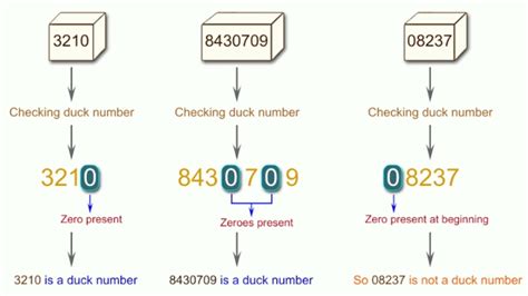 Duck Number In Java Youtube