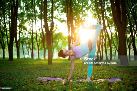 젊은 스포츠 소녀는 녹색 여름 숲 요가 아산 자세에서 요가를 연습합니다 자연과의 명상과 단합 가냘픈에 대한 스톡 사진 및 기타 이미지 Istock