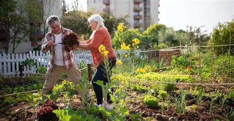 Календар садівника на червень названі найкращі дні для догляду за різними культурами Читайте