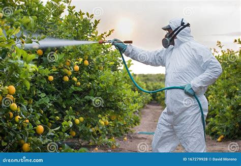 Insecticide Sprayer